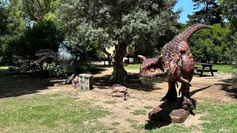 Alghero: Discover dinosaurs in Porto Conte Park - Pricing and Value