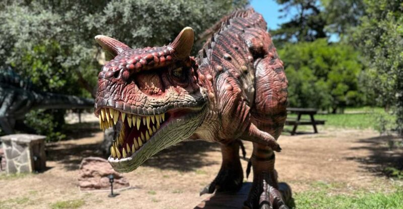 Alghero: Discover dinosaurs in Porto Conte Park - Who Should Consider This Tour?