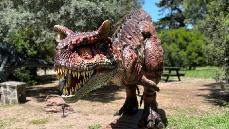 Alghero: Discover dinosaurs in Porto Conte Park - Frequently Asked Questions
