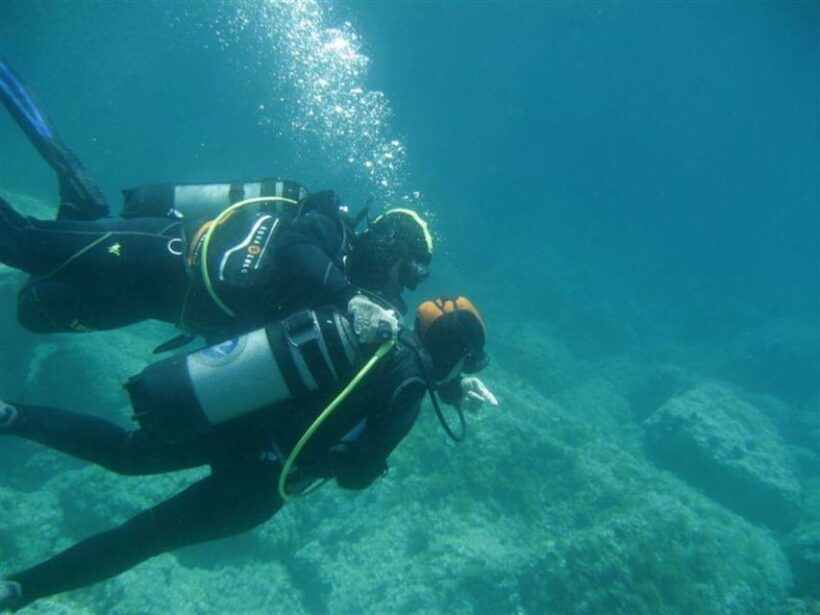 Alghero: discovery diving lesson for beginners - Practical Details & Value