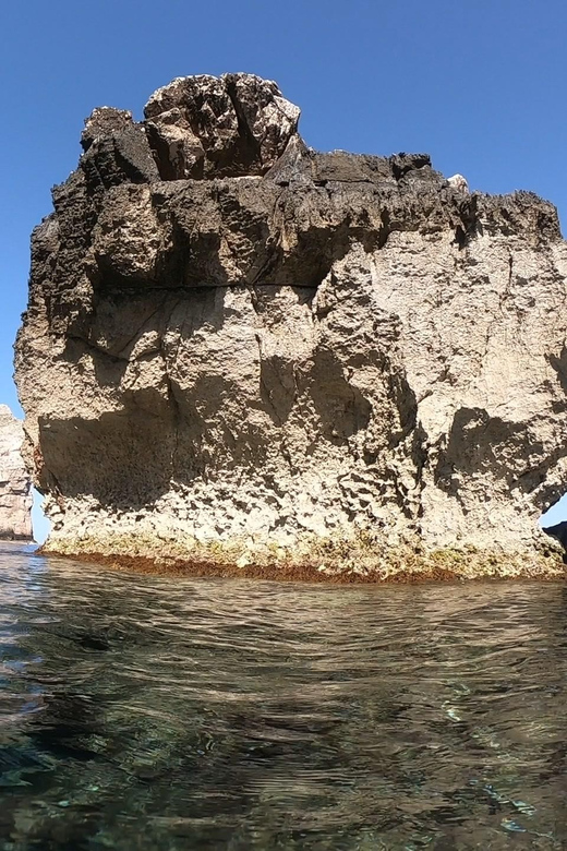 Alghero: Diving Experience - Authentic Experiences from Past Participants