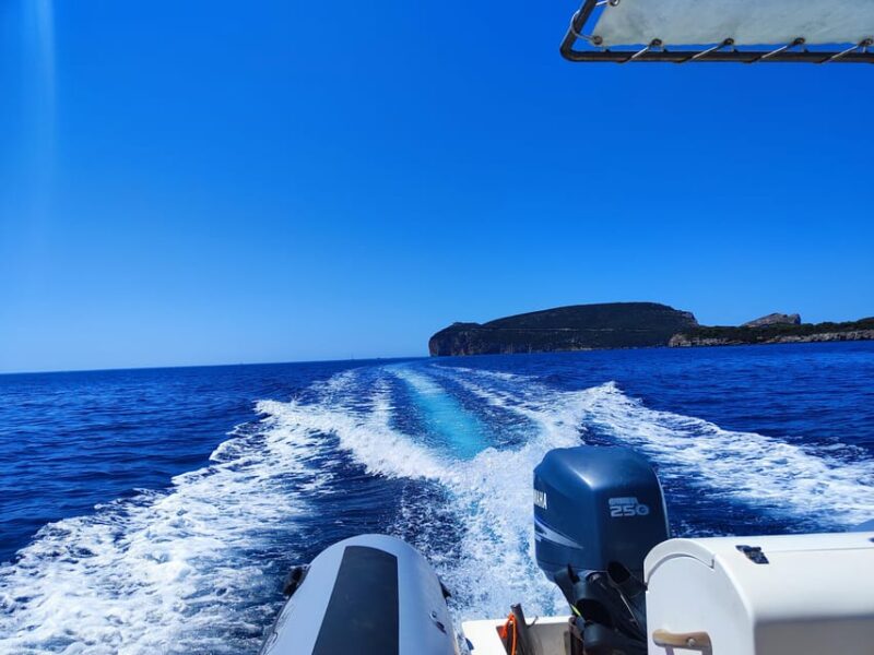 Alghero: Diving Experience - Who Will Appreciate This Tour?