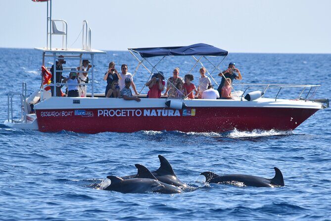 Alghero - Dolphin Watching and Guided Snorkeling (summer tour) - FAQ