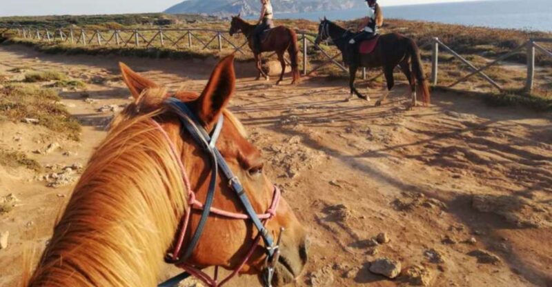 Alghero: Guided Horseback Ride at Lake Baratz & Porto Ferro - Key Points
