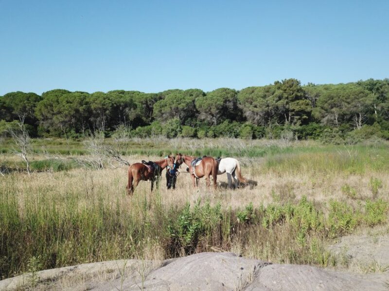 Alghero: Guided Horseback Ride at Lake Baratz & Porto Ferro - What’s Included and What You Should Know