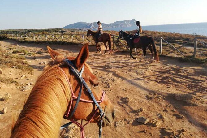 Alghero: horseback ride in Porto Ferro and Lake Baratz - Frequently Asked Questions