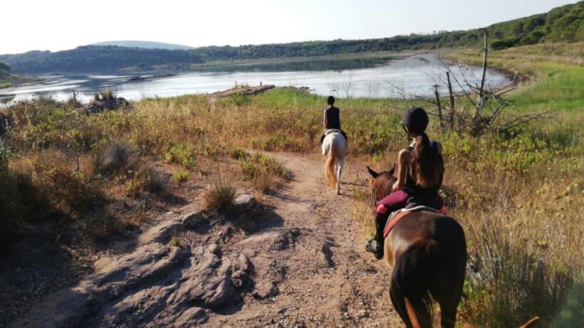 Alghero: horseback riding for experts in Lake Baratz - The Experience: What You Can Expect