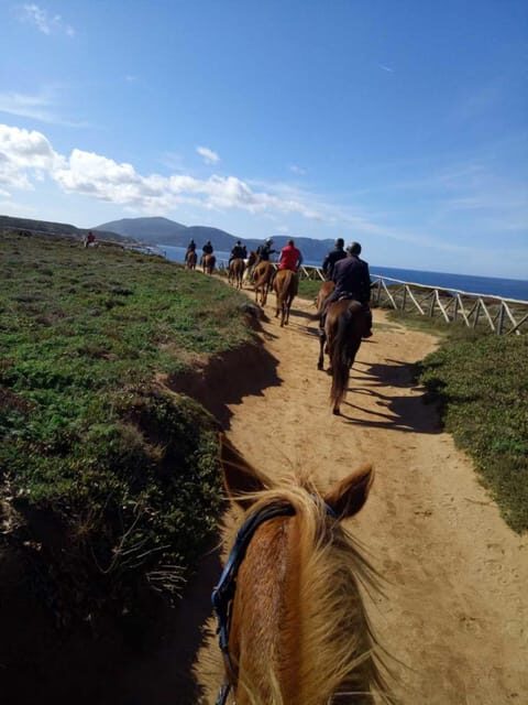 Alghero: horseback riding for experts in Lake Baratz - The Route & Itinerary
