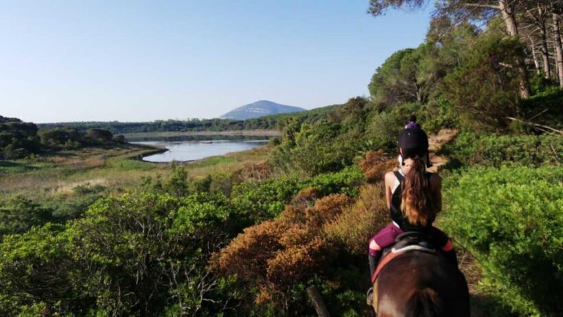Alghero: horseback riding for experts in Lake Baratz - Practical Details