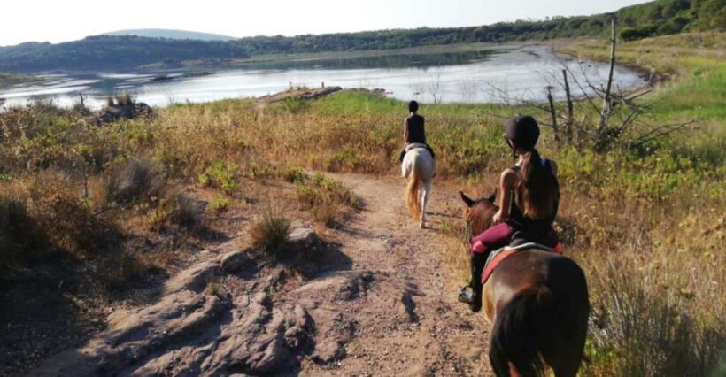 Alghero: Lake Baratz Guided Horseback Ride - Who Is This Tour Perfect For?