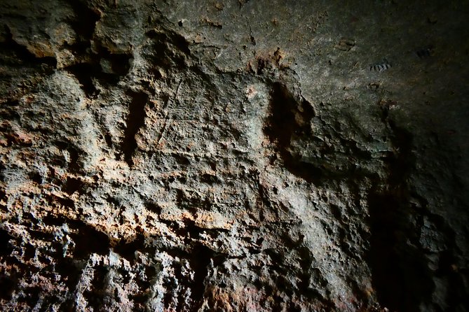 Alghero: Private Archaeological Tour (Transfer INCLUDED) With Local Guide - Visiting the Necropolis of Anghelu Ruju