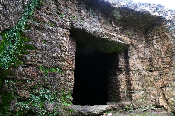 Alghero: Private Archaeological Tour (Transfer INCLUDED) With Local Guide - Guide Information and Expertise