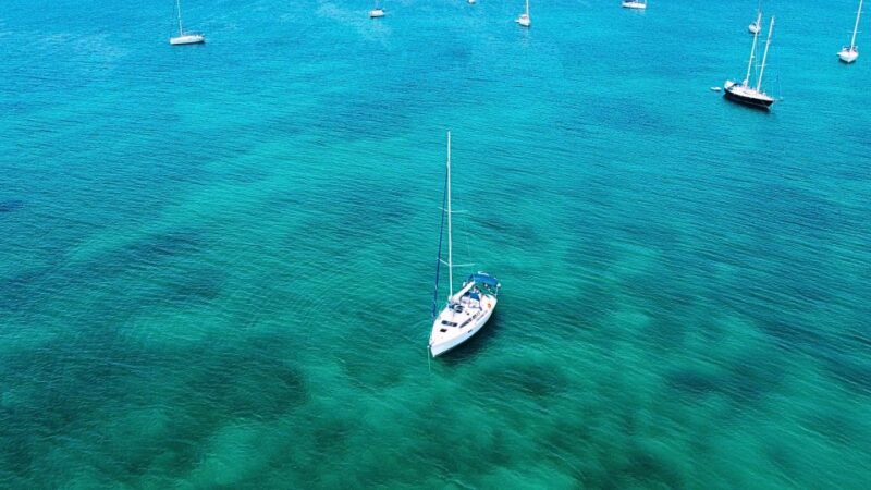 Alghero: Sailboat excursion in Porto Conte bay w/ Lunch - Practical Tips for Travelers