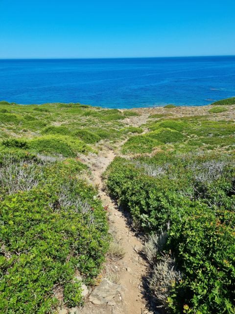 Alghero: Secret Beaches & Coastal tour by Land - The Local Food & Beach Lunch