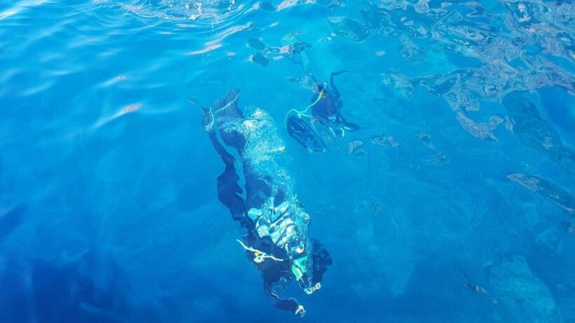Alghero: snorkelling and tour of Capo Caccia cliffs - Key Points