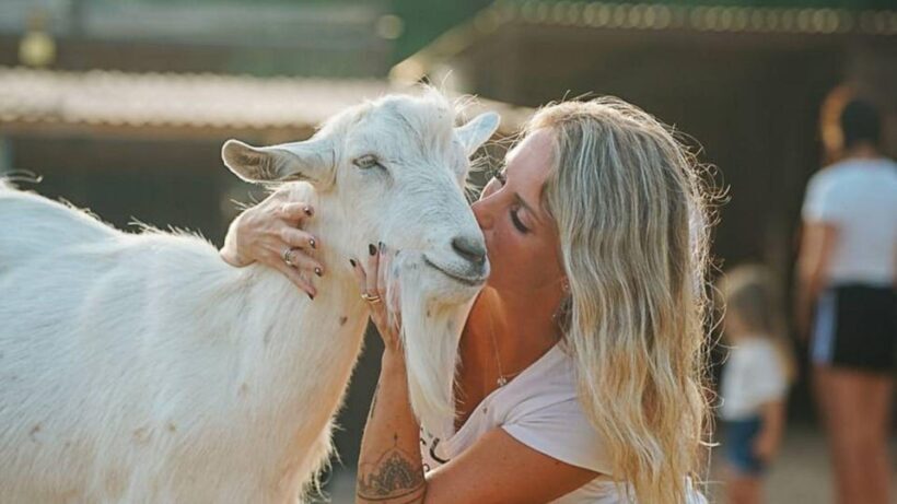 Alghero: visit an animal shelter with lunch or dinner - Exploring Sardinia’s Animal Refuge: What You Can Expect