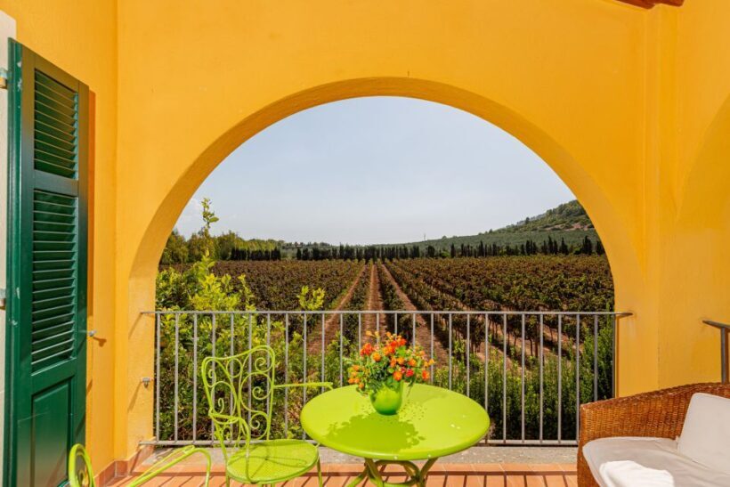 Alghero: Wine and Olive Oil Tasting at a Local Farm - Alghero: Wine and Olive Oil Tasting at a Local Farm — A Genuine Taste of Sardinia