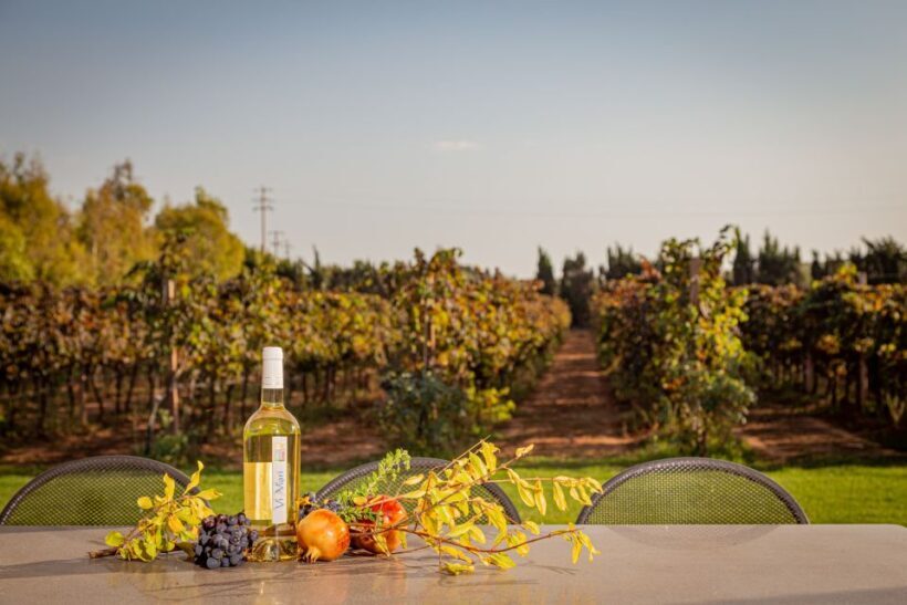 Alghero: Wine and Olive Oil Tasting at a Local Farm - Frequently Asked Questions