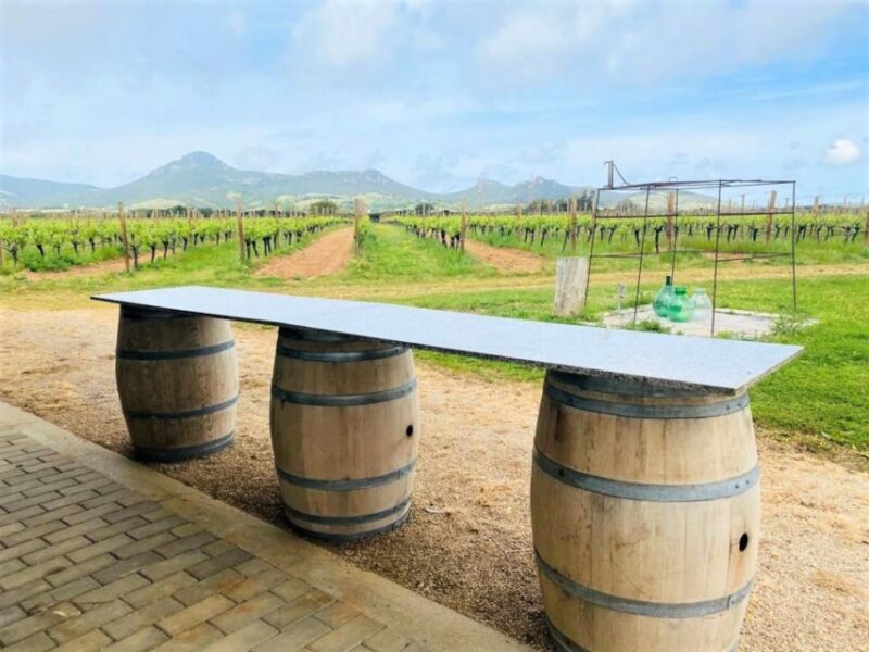 Alghero: wine tasting w/ local aperitif in the vineyard - The Value of the Experience
