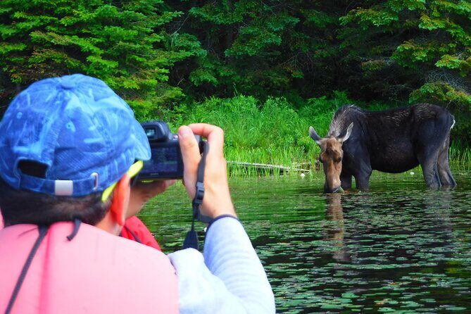 Algonquin Park 3-Day Deluxe Camping & Canoeing Adventure - What the Reviews Say