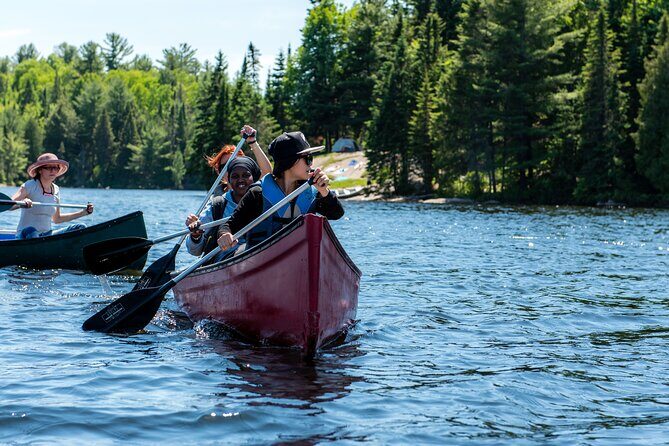Algonquin Park 3-Day Deluxe Camping & Canoeing Adventure - Final Thoughts