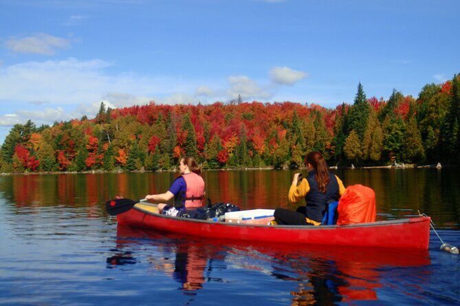 Algonquin Park 4-Day Deluxe Camping & Canoeing Adventure - Introduction