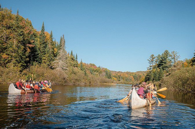 Algonquin Park and Ragged Falls Hike and Canoe Adventure - Scenic Lookout and Additional Highlights