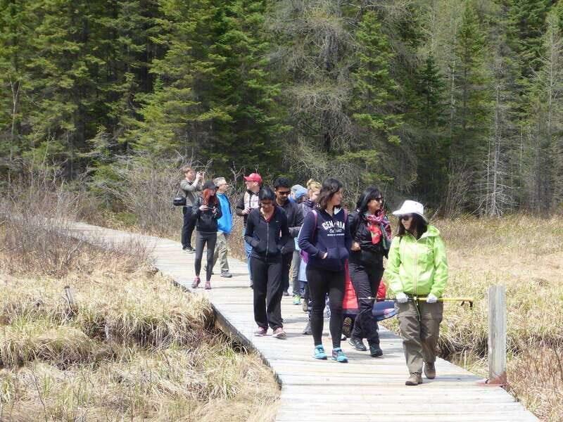 Algonquin Park Hiking: Adventure Tour from Toronto - Frequently Asked Questions