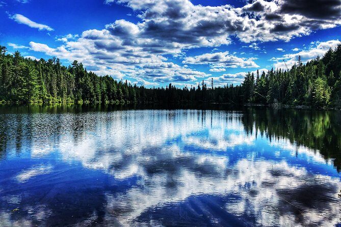 Algonquin Provincial Park Day Tour from Toronto - An Overview of What to Expect