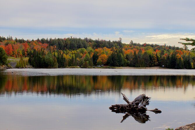 Algonquin Provincial Park Full Day Trip - Stop 1: The Algonquin Visitor Centre