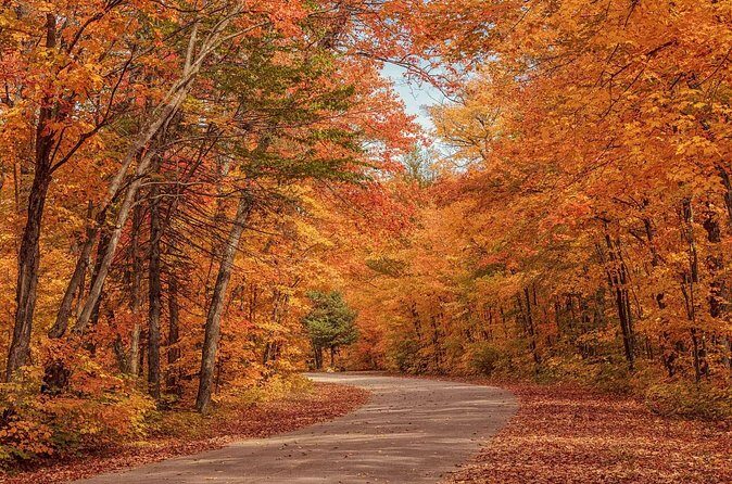 Algonquin Shuttle from Toronto - Final Thoughts: Is It Worth It?
