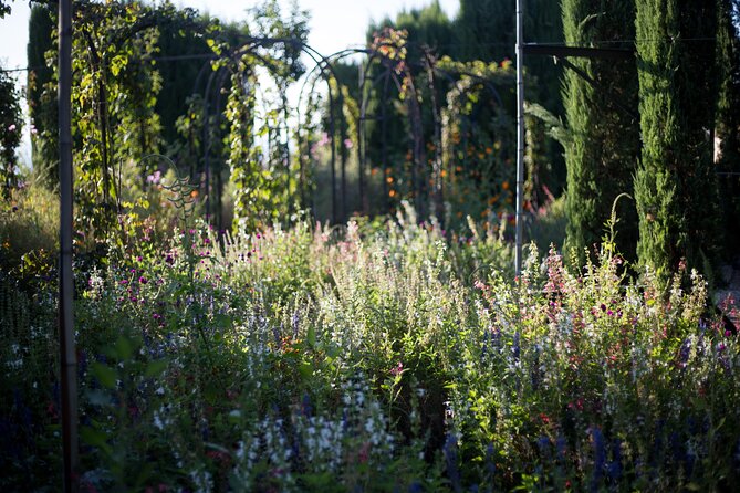 Alhambra Day or Night Private Tour - Health and Fitness Requirements