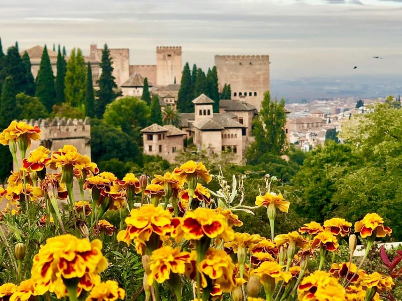 Alhambra: Guided Tour with Fast-Track Entry - Who Will Love This Tour?