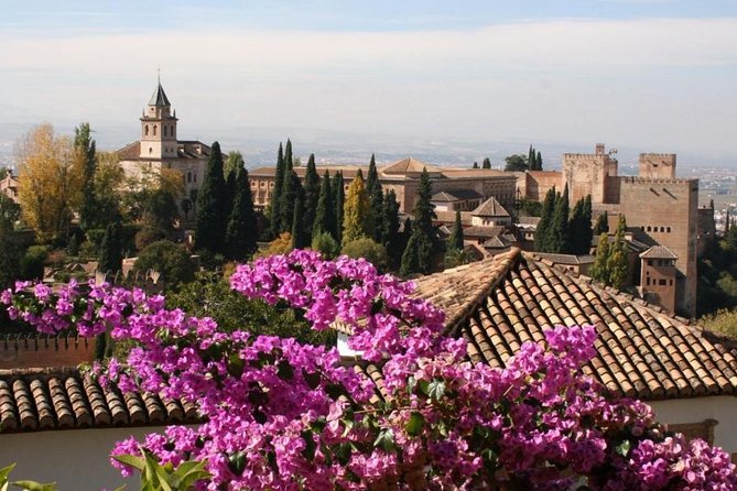 Alhambra Nasrid Palaces and Gardens Tour Skip the Line Tickets - Important Tour Information
