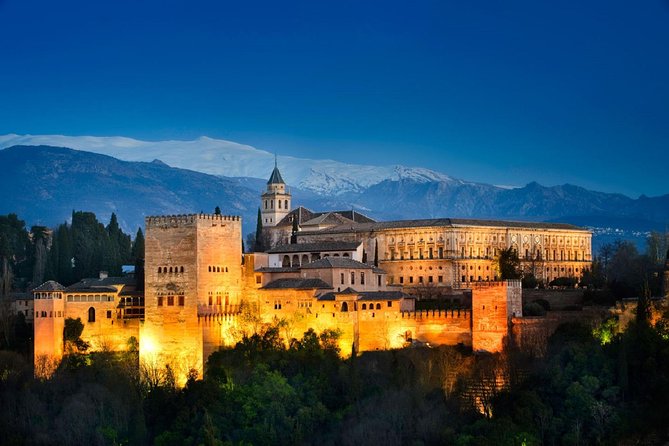 Alhambra Private Tour From Malaga: Review - Transportation and Guide Expertise