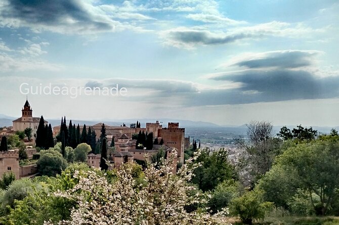 Alhambra Private Tour: Nasrid Palaces and Generalife - Meeting and Pickup Details