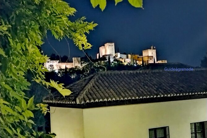 Alhambra Private Tour: Nasrid Palaces and Generalife - Cancellation and Pricing