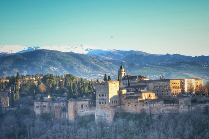 Alhambra Private Tour & Nazaries Palaces Review - Addressing Isolated Issues