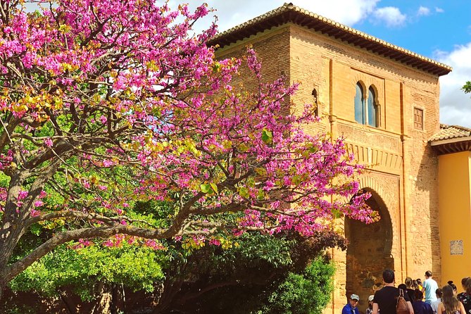 Alhambra Private Tour with Skip-the-line-tickets - Who Should Consider This Tour?