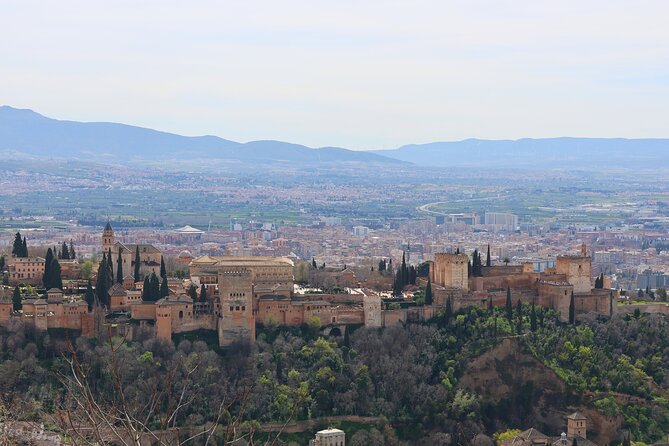 Alhambra Private Tour With Tickets - Inclusions in the Tour Package