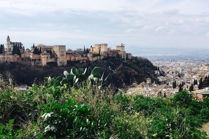 Alhambra Private Tour (Without Tickets) Total/Group Max 15 People - Accessibility Features