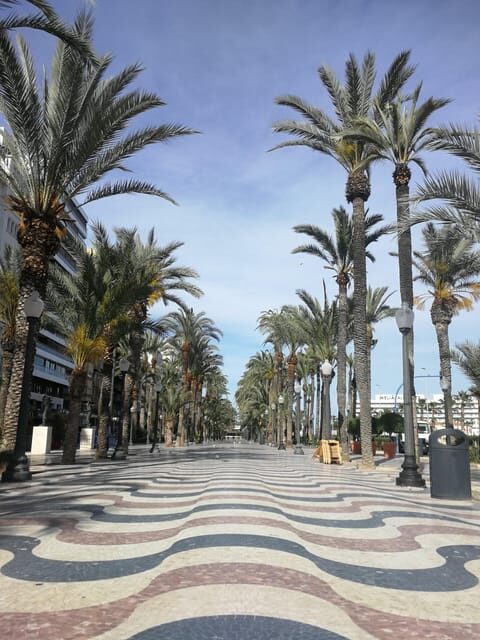 Alicante 360º Semi-private tour City, Culture, Tapas & Drink - Final Thoughts