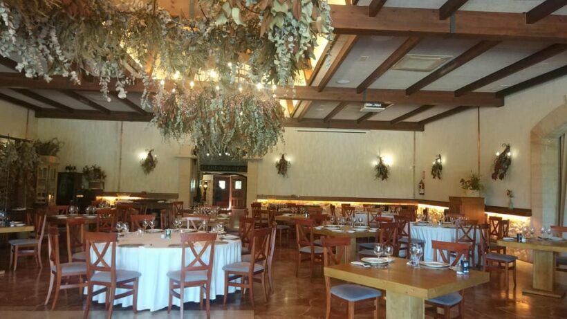 Alicante: Breakfast with grilled meat in a rural environment - Practical Considerations
