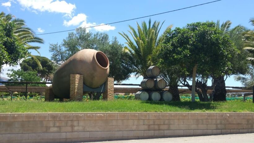 Alicante: Breakfast with grilled meat in a rural environment - Who Is This Tour Best For?