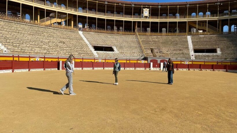Alicante: Bullring and Bullfighting Museum Entry Ticket - Key Points