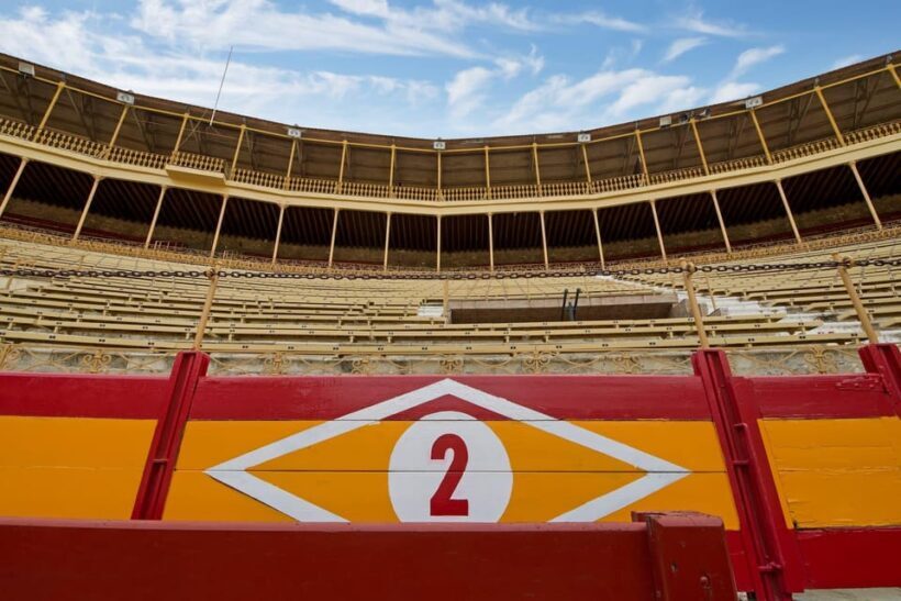 Alicante: Bullring and Bullfighting Museum Entry Ticket - Learning About Bullfighting