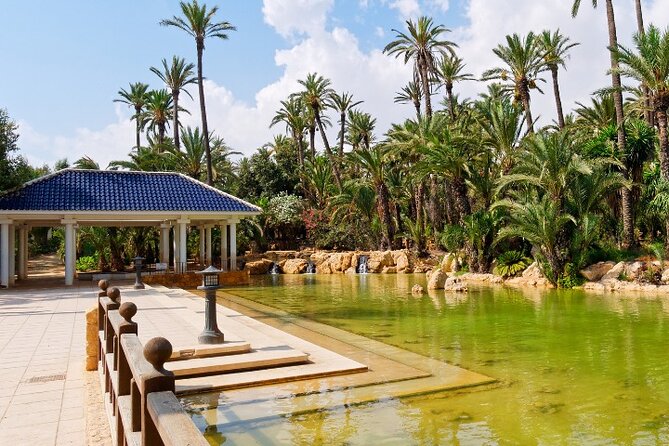 Alicante: Calas & Beaches Snorkeling With E - Bikes - Customer Experiences and Reviews