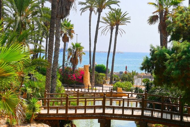 Alicante: Calas & Beaches Snorkeling With E - Bikes - Tips for a Successful Snorkeling Adventure