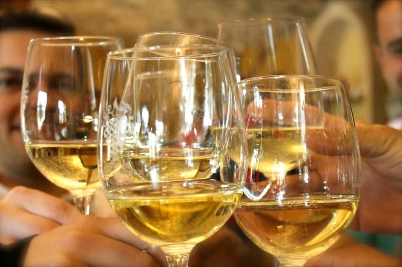 Alicante: Countryside Wine Tour with 4 Tastings - Alicante: Countryside Wine Tour with 4 Tastings – A Detailed Look