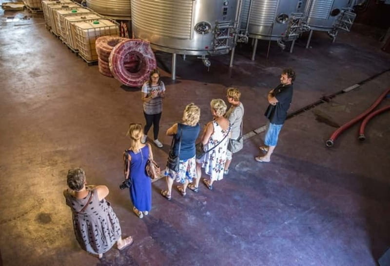 Alicante: Countryside Wine Tour with 4 Tastings - Why Travelers Love This Tour